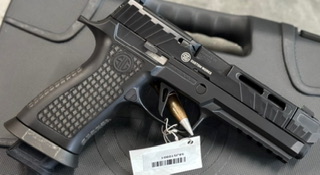 Sig-Sauer P320 9mm – Phoenix – Pistols | Gun Trader AZ