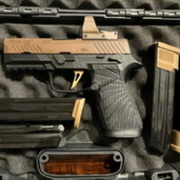 Sig Sauer P320 M18 w/ Leupold Delta Point Pro & Wilson Combat Grip ...