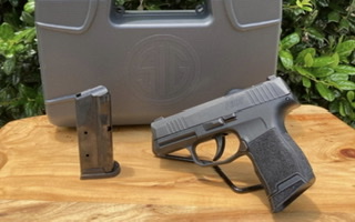Sig Sauer P365-380 Optics Ready .380 ACP, Black 365-380-BSS 10 Rd ...